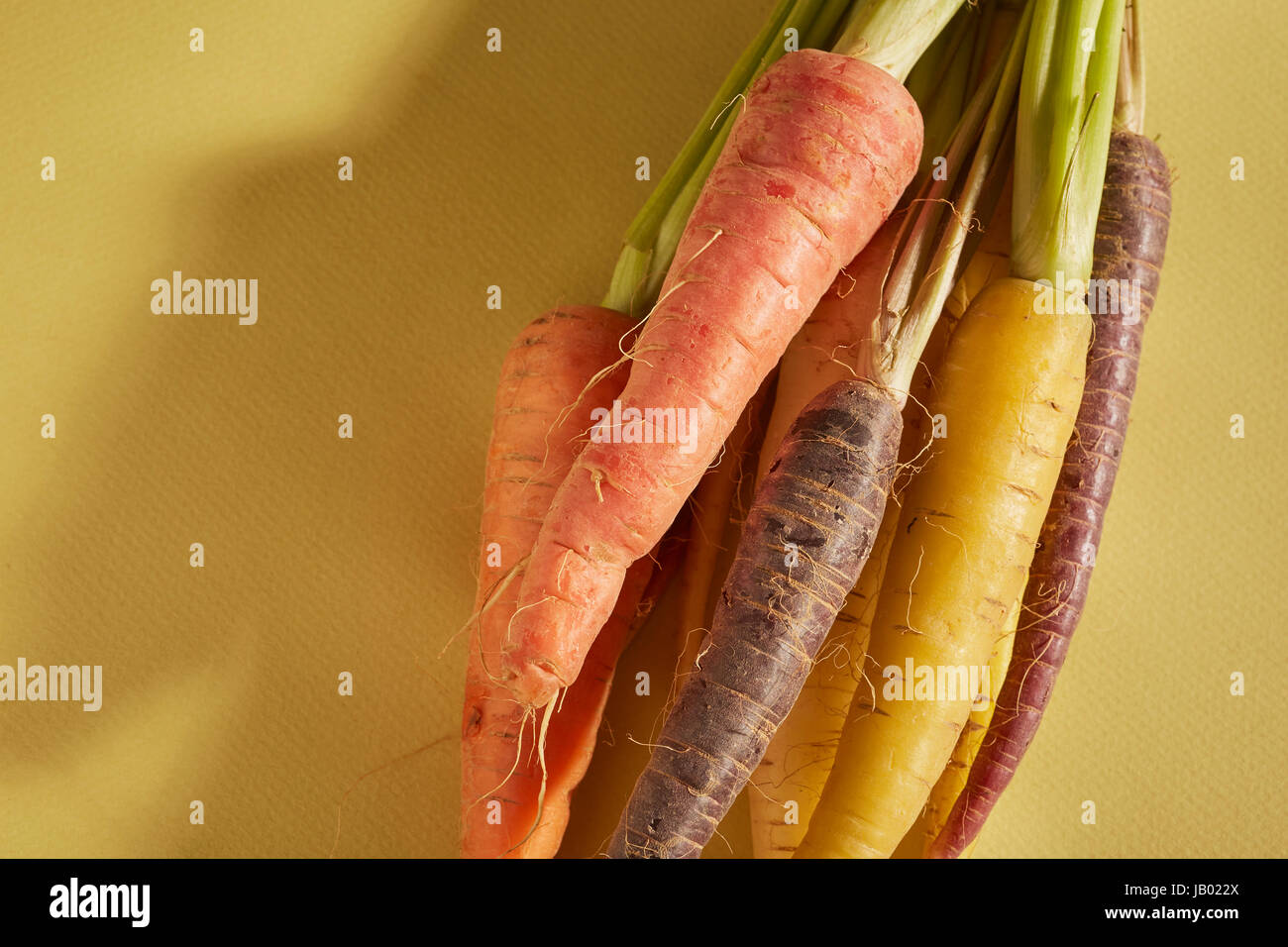 a bunch of multicolor carrots Stock Photo - Alamy