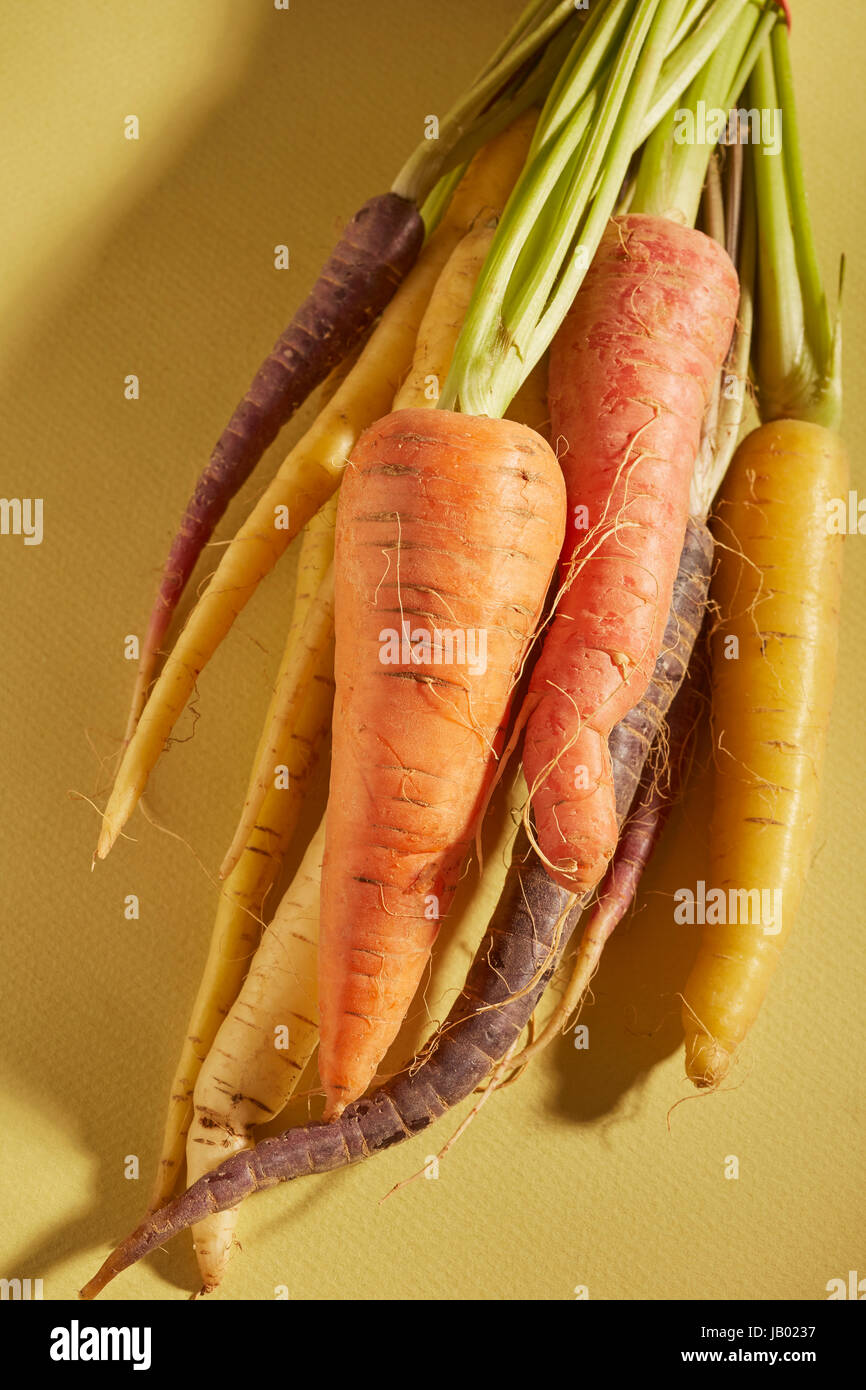 a bunch of multicolor carrots Stock Photo - Alamy