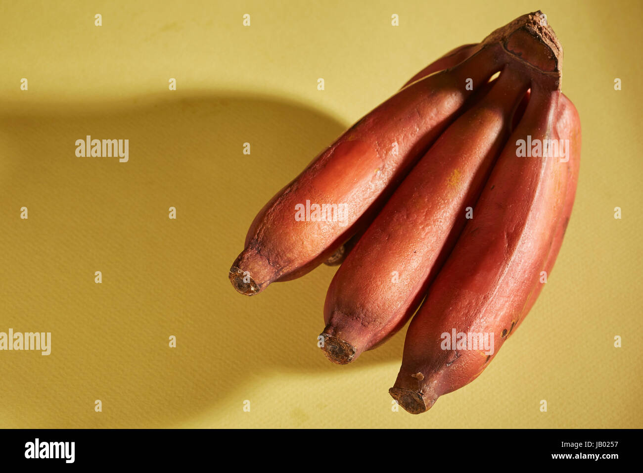 a bunch of red, baby bananas Stock Photo - Alamy