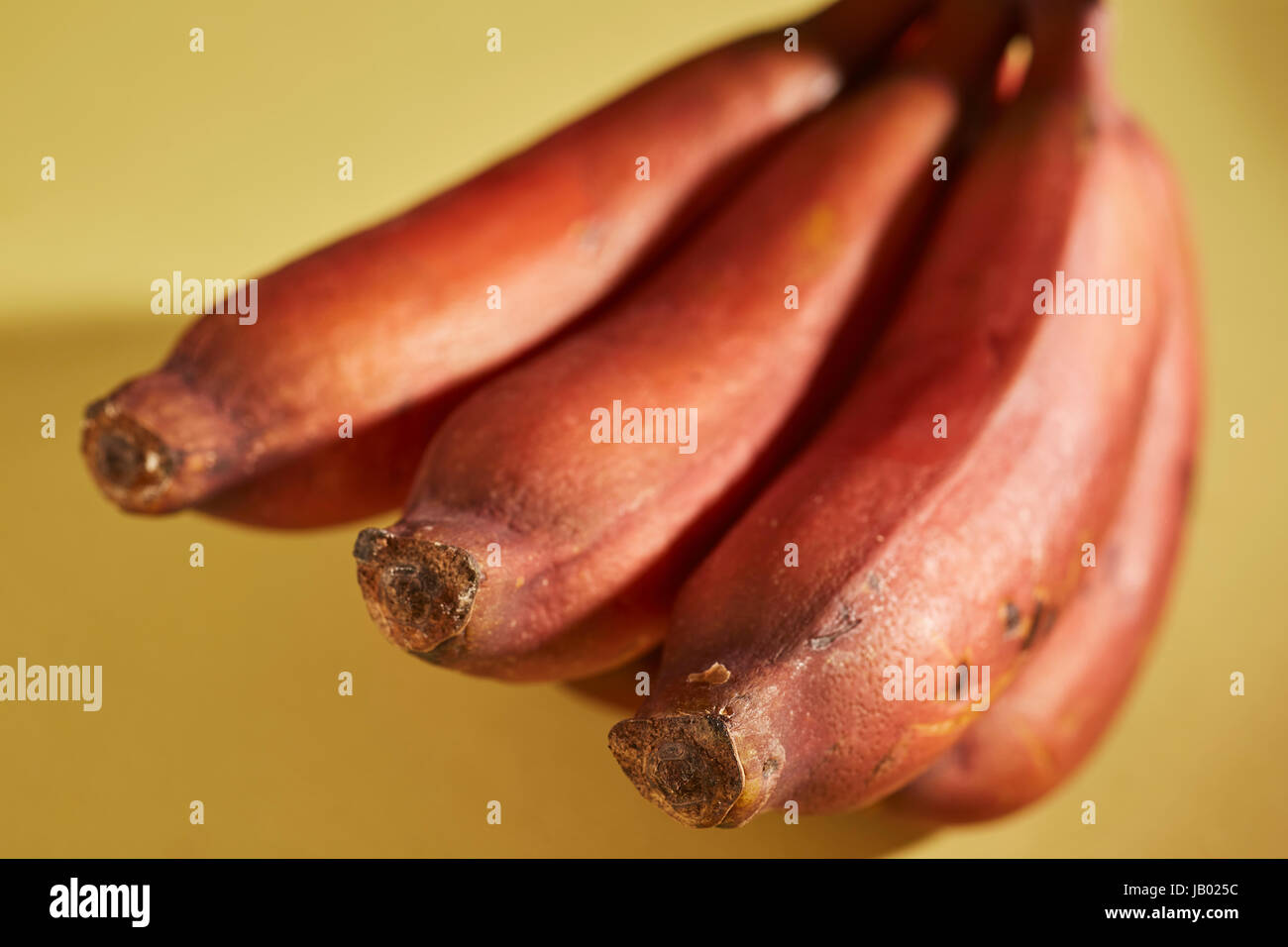 a bunch of red, baby bananas Stock Photo - Alamy