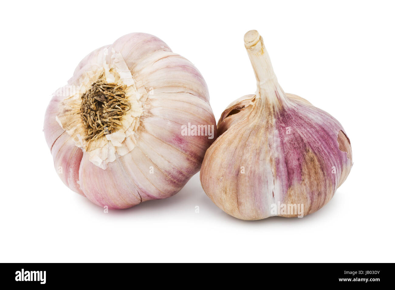 Fresh young garlic isolated on white background Stock Photo - Alamy