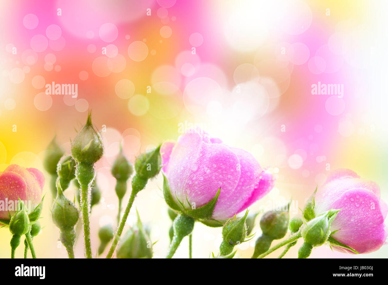Abstract colorful blurred spring background Stock Photo - Alamy