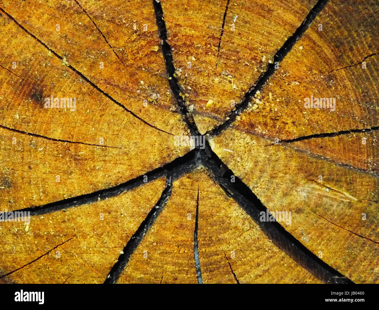 signed by the weather as old background Stock Photo - Alamy