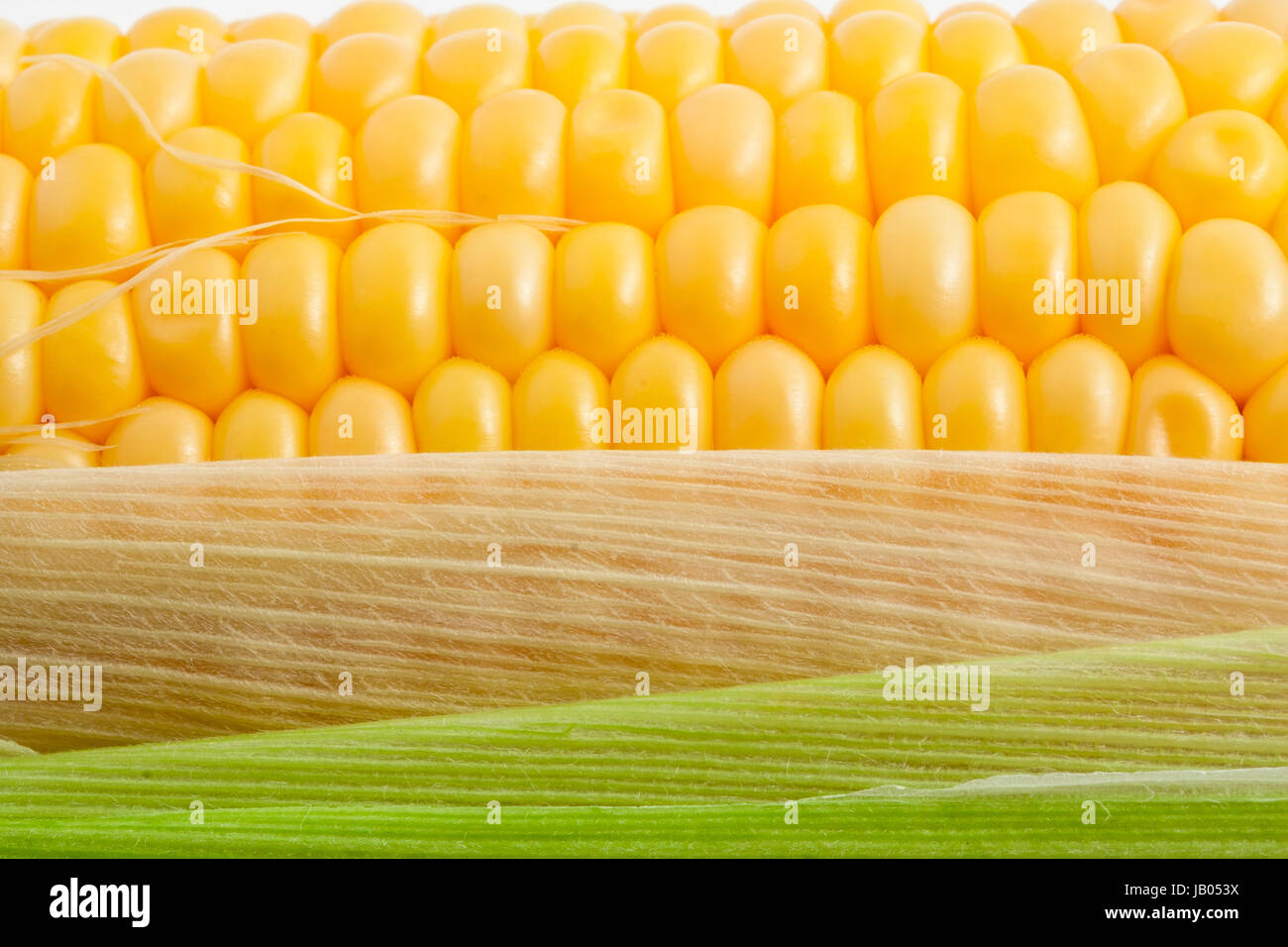 Macro photo of yellow corn background, healthy and tasty food Stock ...