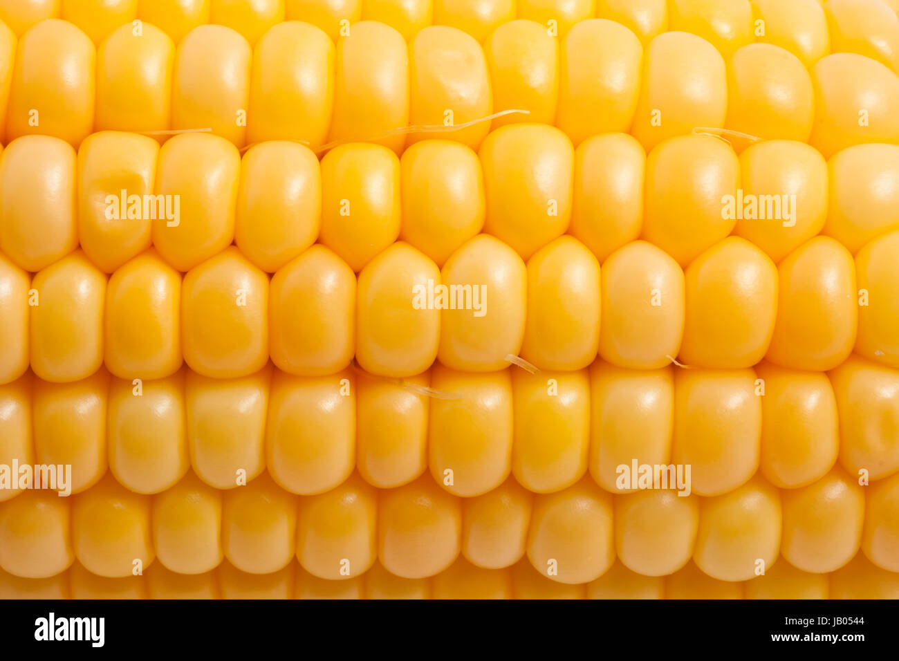 Macro photo of yellow corn background, healthy and tasty food Stock ...