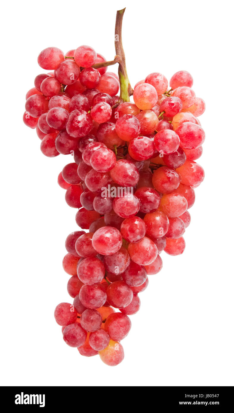 Branch of grapes isolated on white background Stock Photo - Alamy