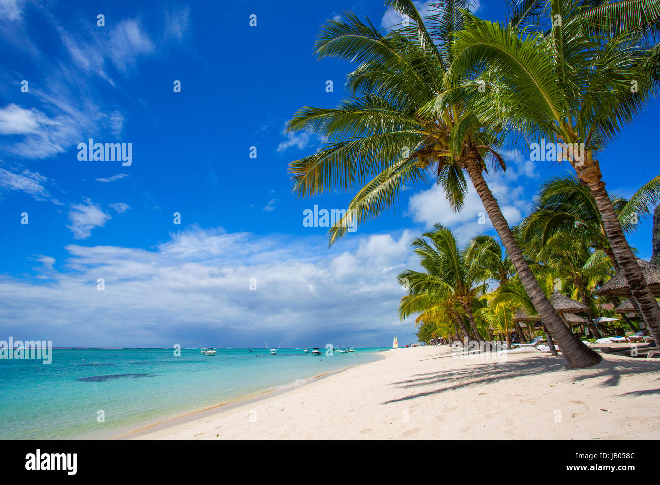 Coco maurice hi-res stock photography and images - Alamy