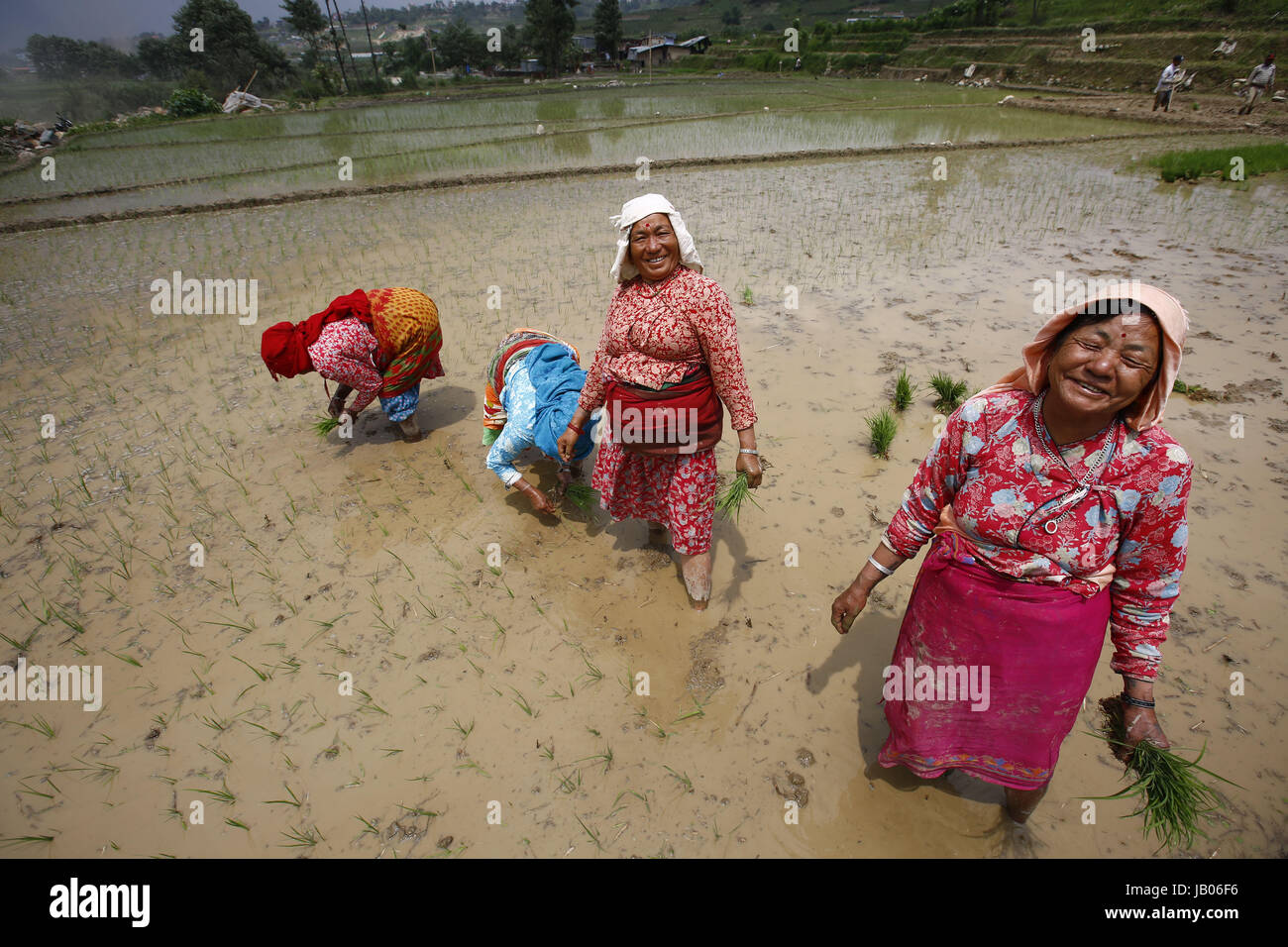 Lalitpur, Nepal. 8th June, 2017. Nepalese rice farmers react while ...