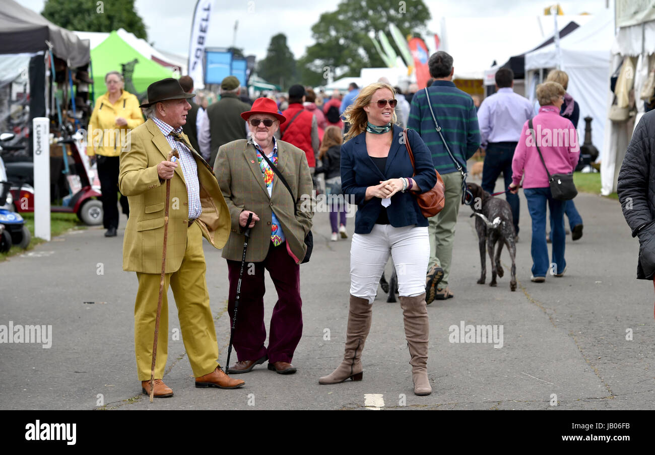 While visiting the south of england show at ardingly hi-res stock ...
