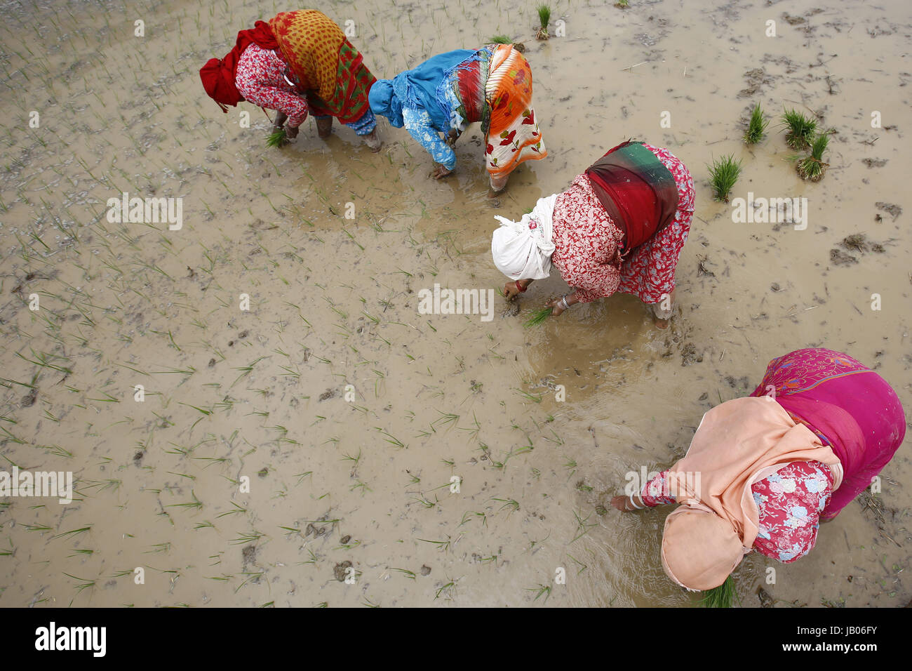 Ropai jatra hi-res stock photography and images - Alamy