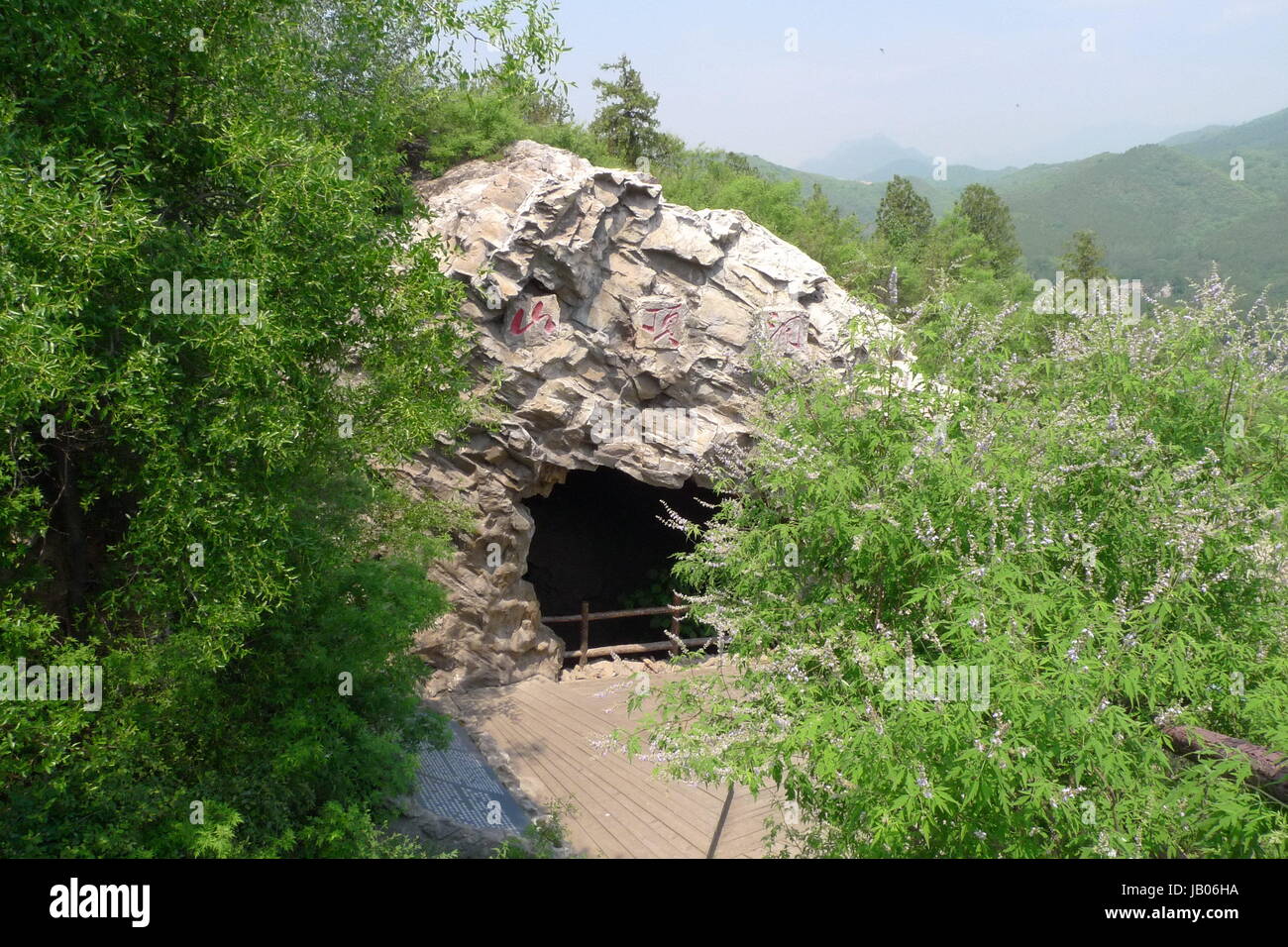 Cave hyena hi-res stock photography and images - Alamy