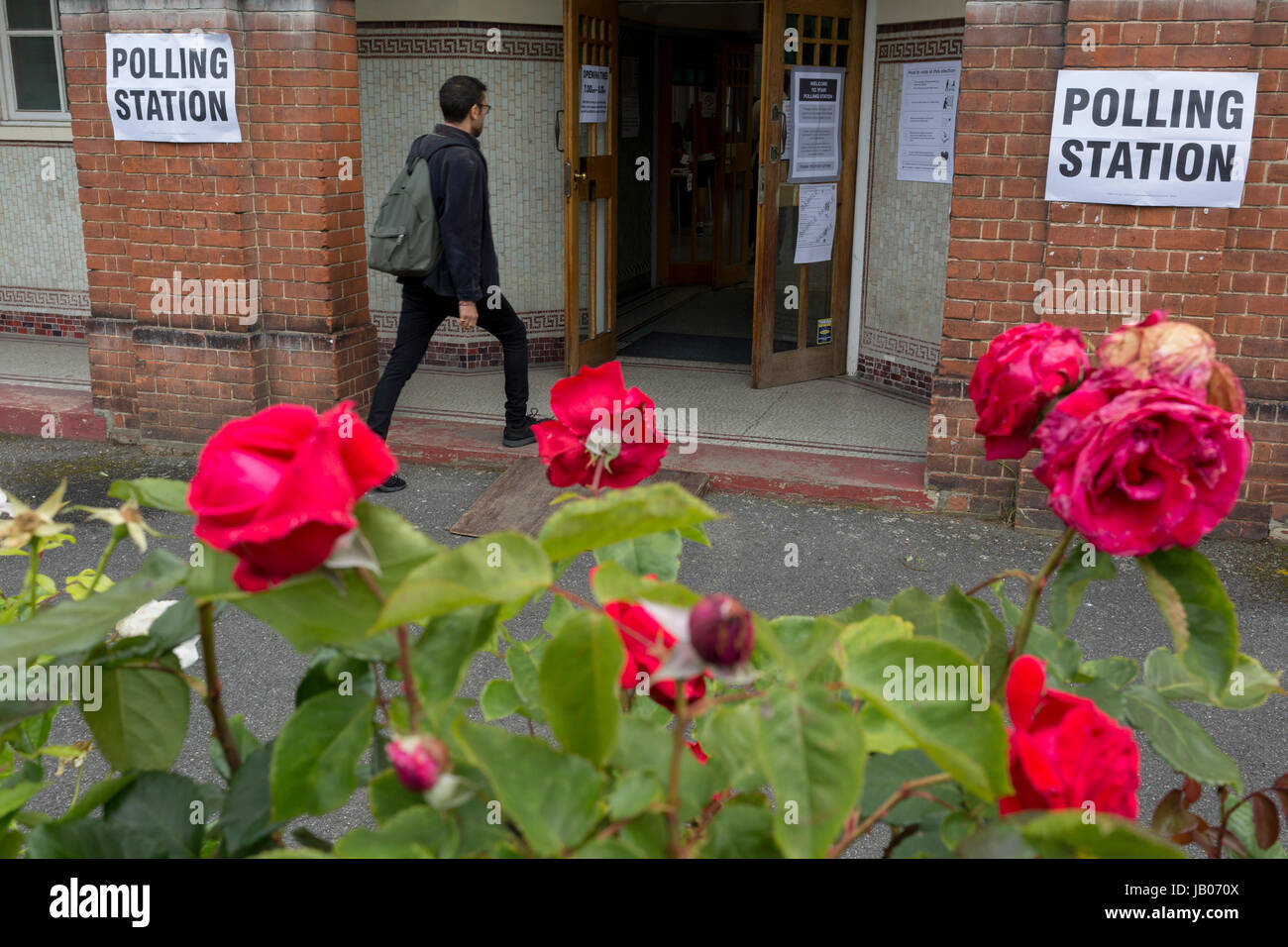 London, 8th June 2017: Seen through (the Labour Party symbol) red roses ...