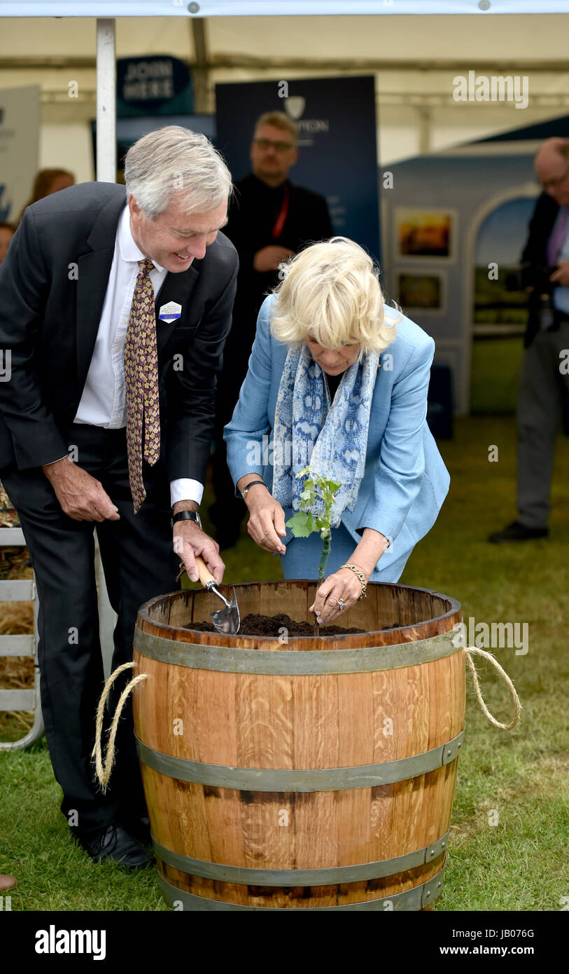 Visit south england show ardingly hi-res stock photography and images ...