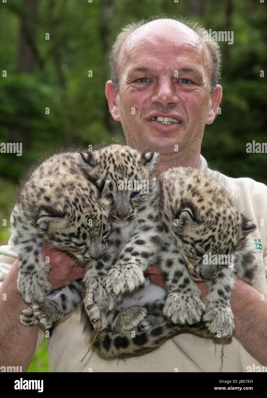 Wagner heide hi-res stock photography and images - Alamy
