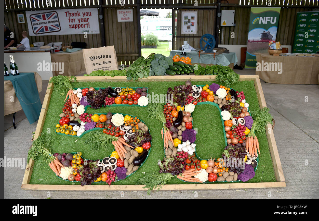 Vegetables display show veg hi-res stock photography and images - Alamy