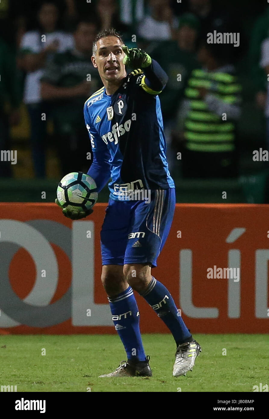 Curitiba, Brazil. 07th June, 2017. Goalkeeper Fernando Prass of SE ...