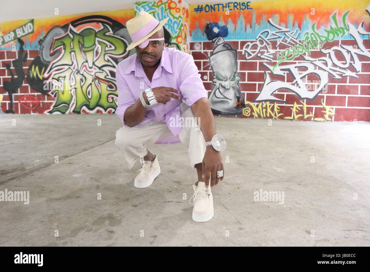 Bronx, NY, USA. 8th June, 2017. Slick Rick at the official proclamation ...