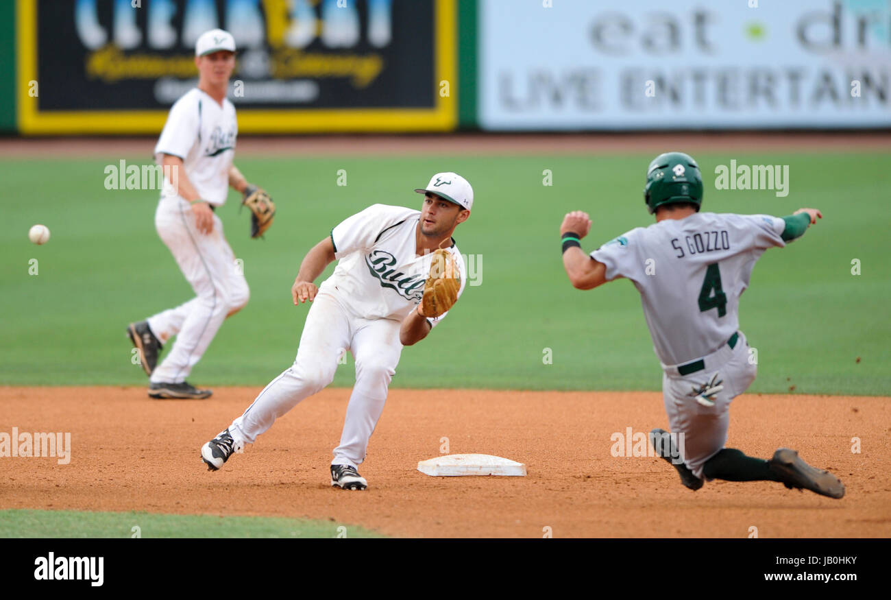 Clearwater, Florida, USA. 23rd May, 2017. CHRIS URSO | Times.South ...