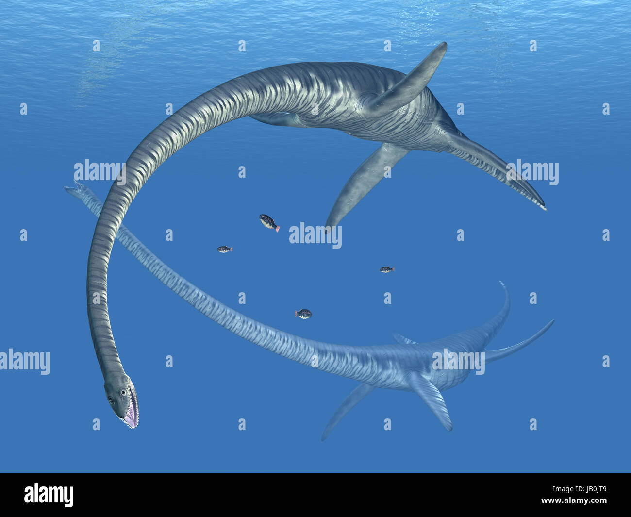 plesiosaur elasmosaurus Stock Photo - Alamy