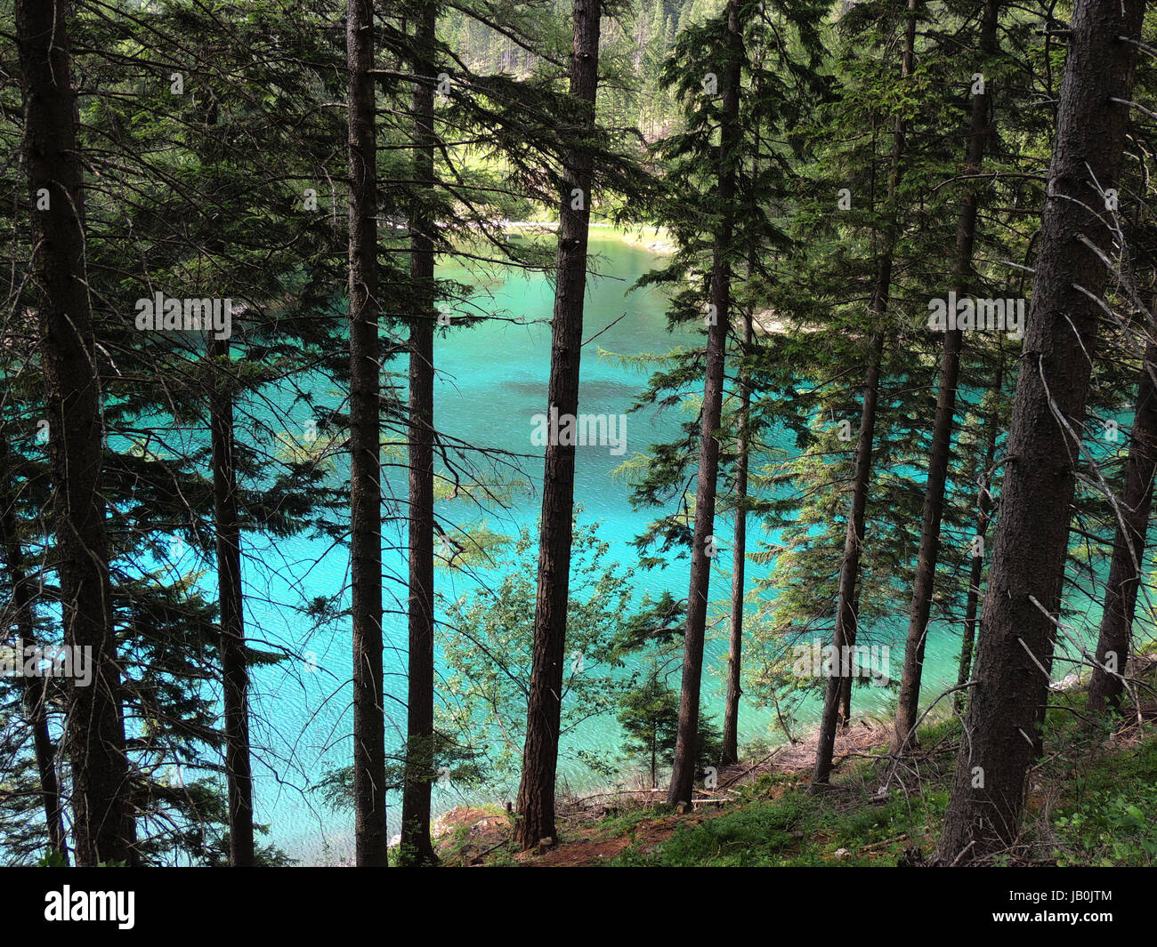 austrians fresh water Stock Photo - Alamy