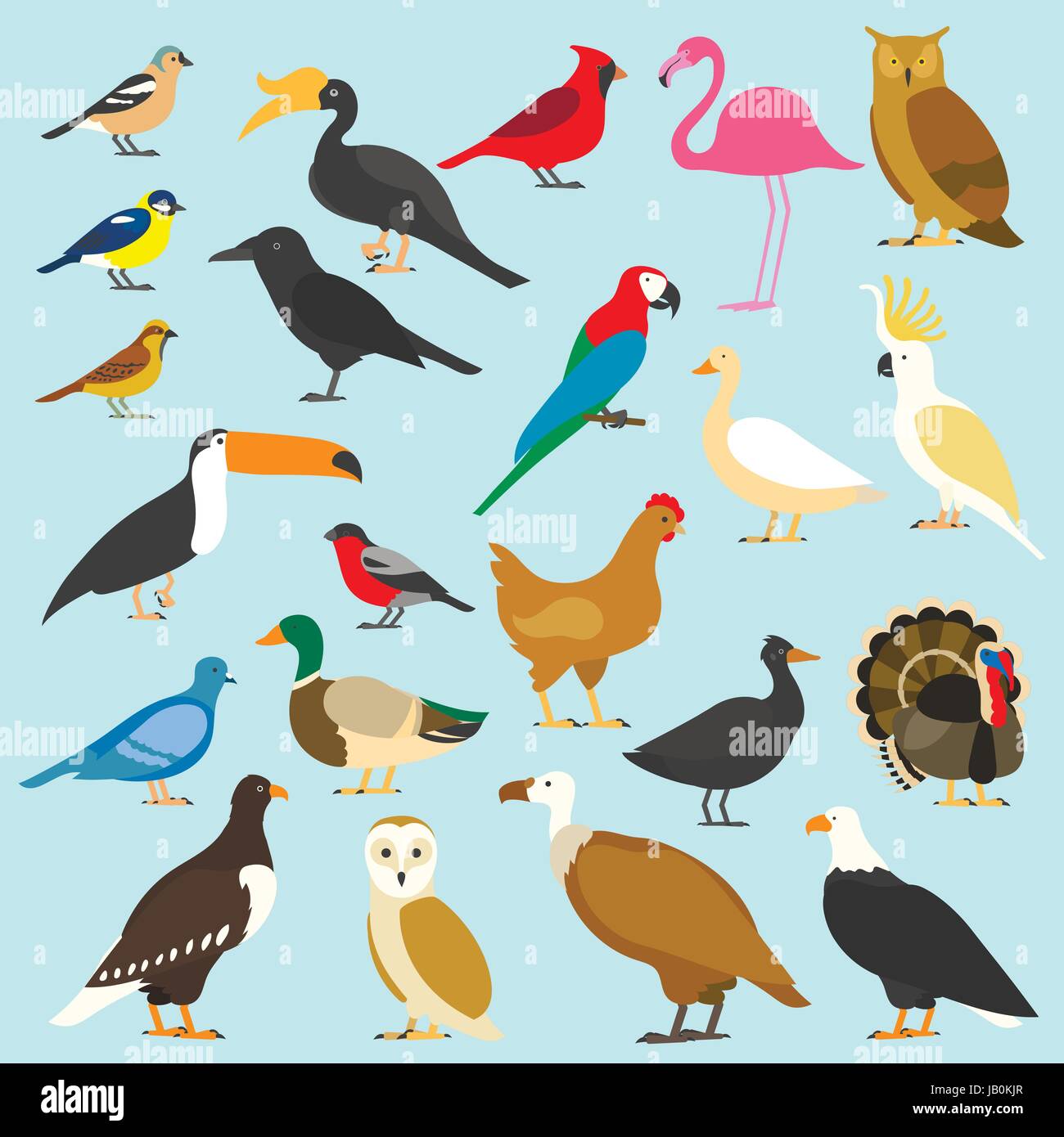 big set of tropical, domestic and other birds, cardinal, flamingo, owls ...