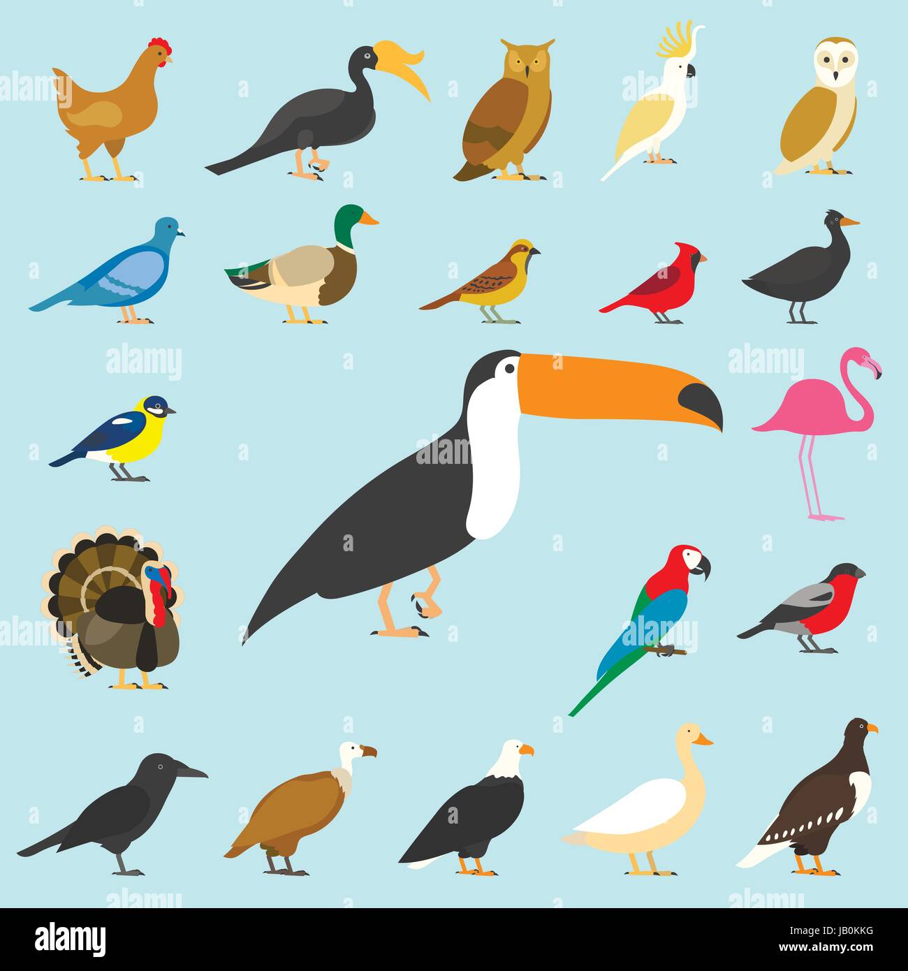 big set of tropical, domestic and other birds, cardinal, flamingo, owls ...