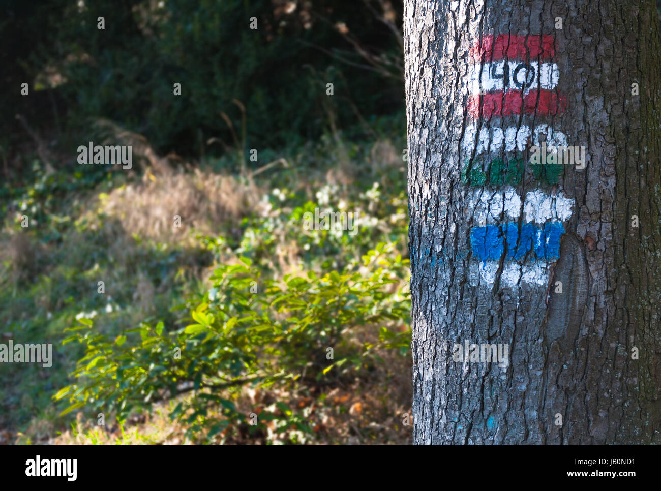 Marked path with green, blue and red Stock Photo - Alamy