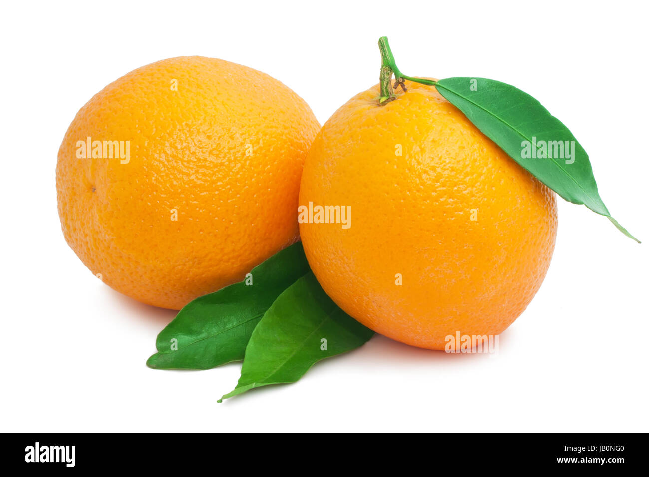 Sweet fresh orange fruit isolated on white background Stock Photo - Alamy