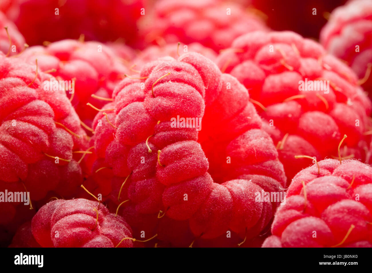 Many fresh red raspberries making beautiful background Stock Photo - Alamy