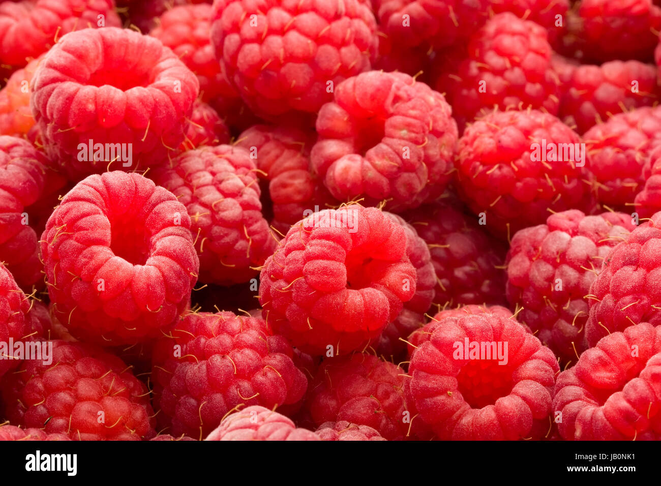 Many fresh red raspberries making beautiful background Stock Photo - Alamy