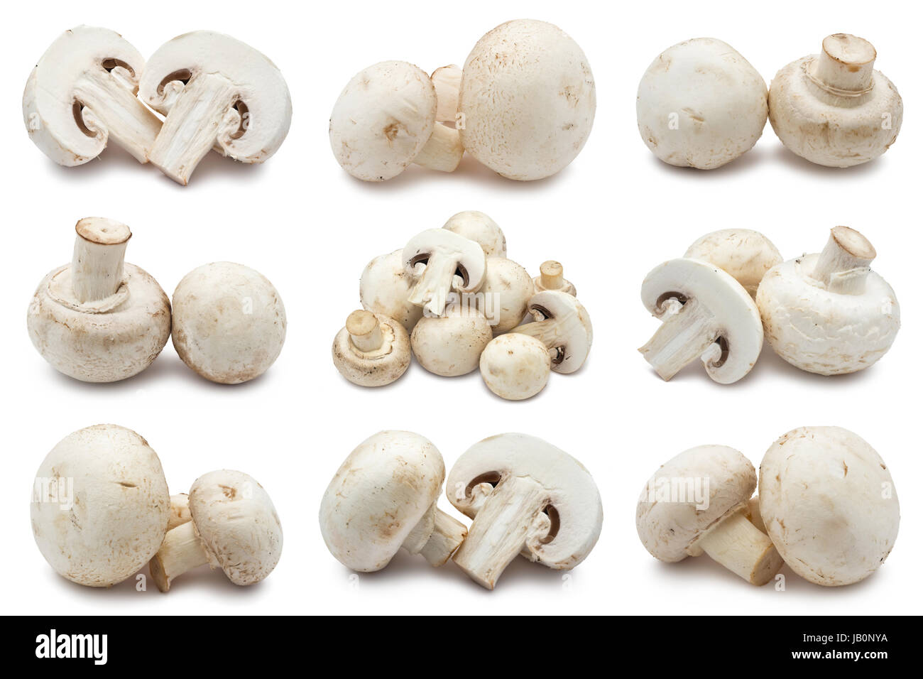 Fresh champignon mushrooms isolated on white background Stock Photo - Alamy