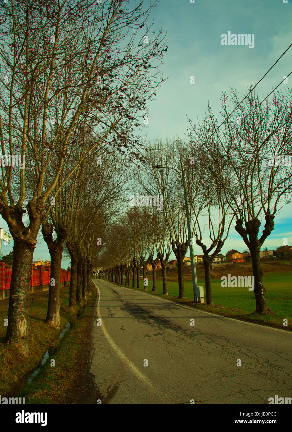 Avenue with winter trees on the sides Stock Photo - Alamy
