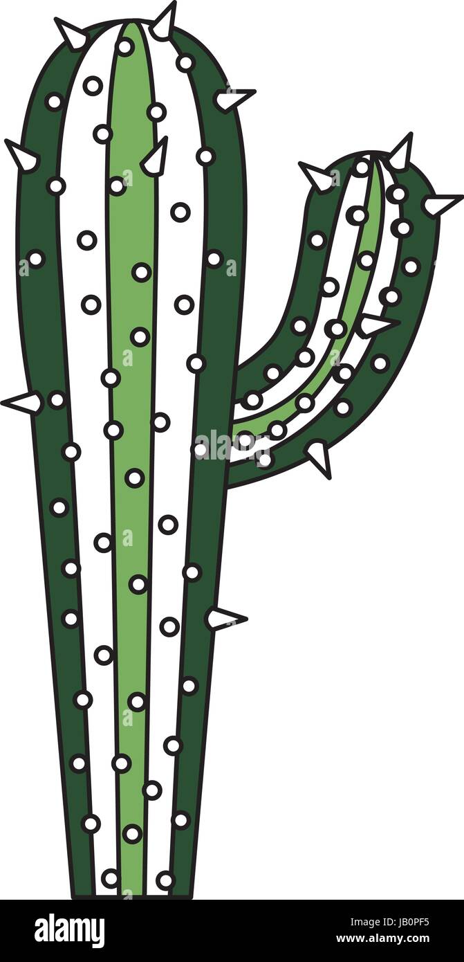 Clipart De Contour De Cactus Spellbinders Cactus Contour Steel Rule