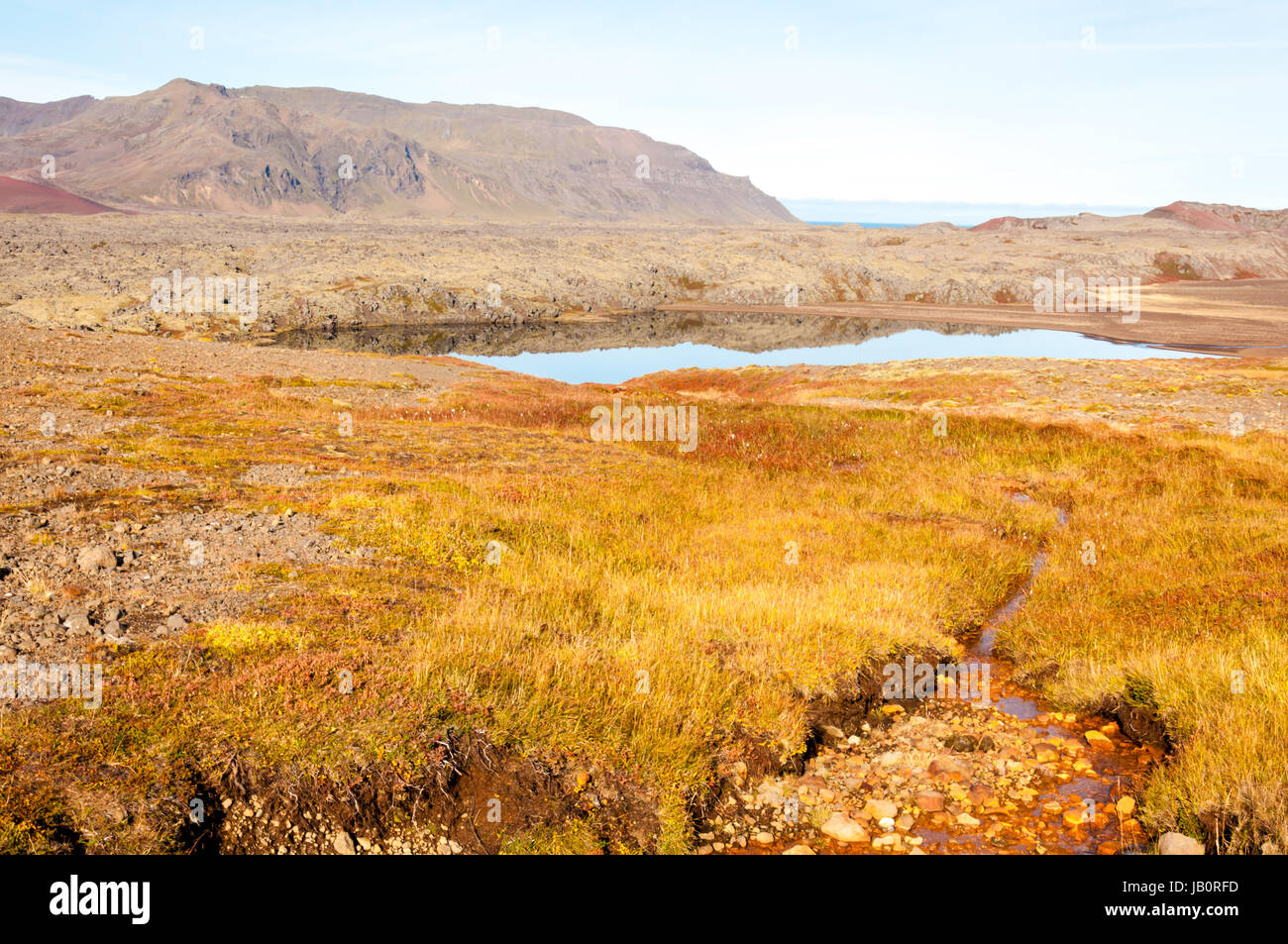 Icelandic landscape with volcanic rocks and green grass Stock Photo - Alamy