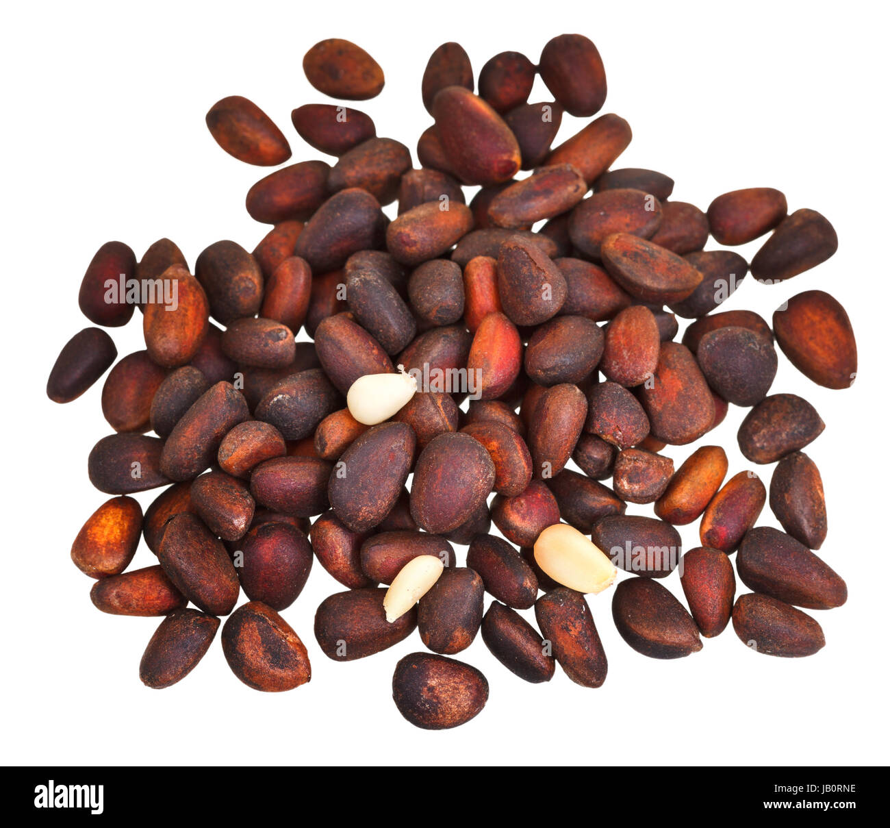 many of cedar nuts isolated on white background Stock Photo - Alamy