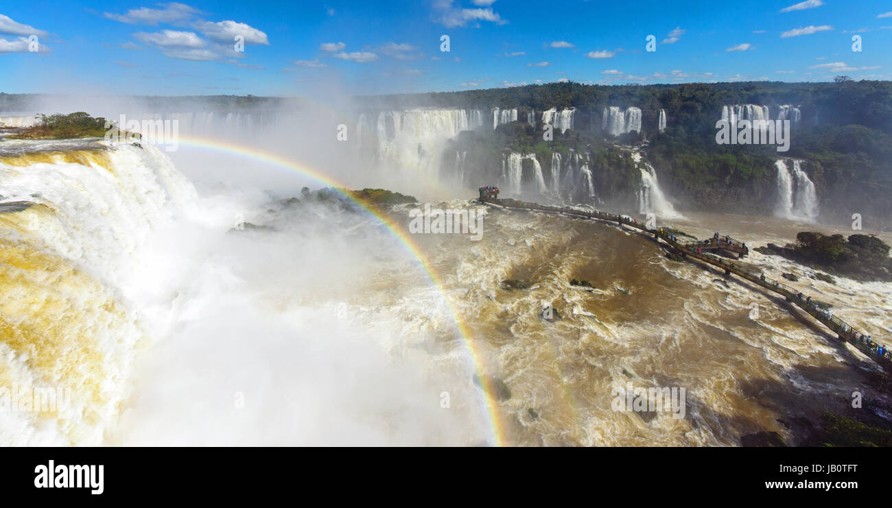 virgin forest sightseeing Stock Photo - Alamy