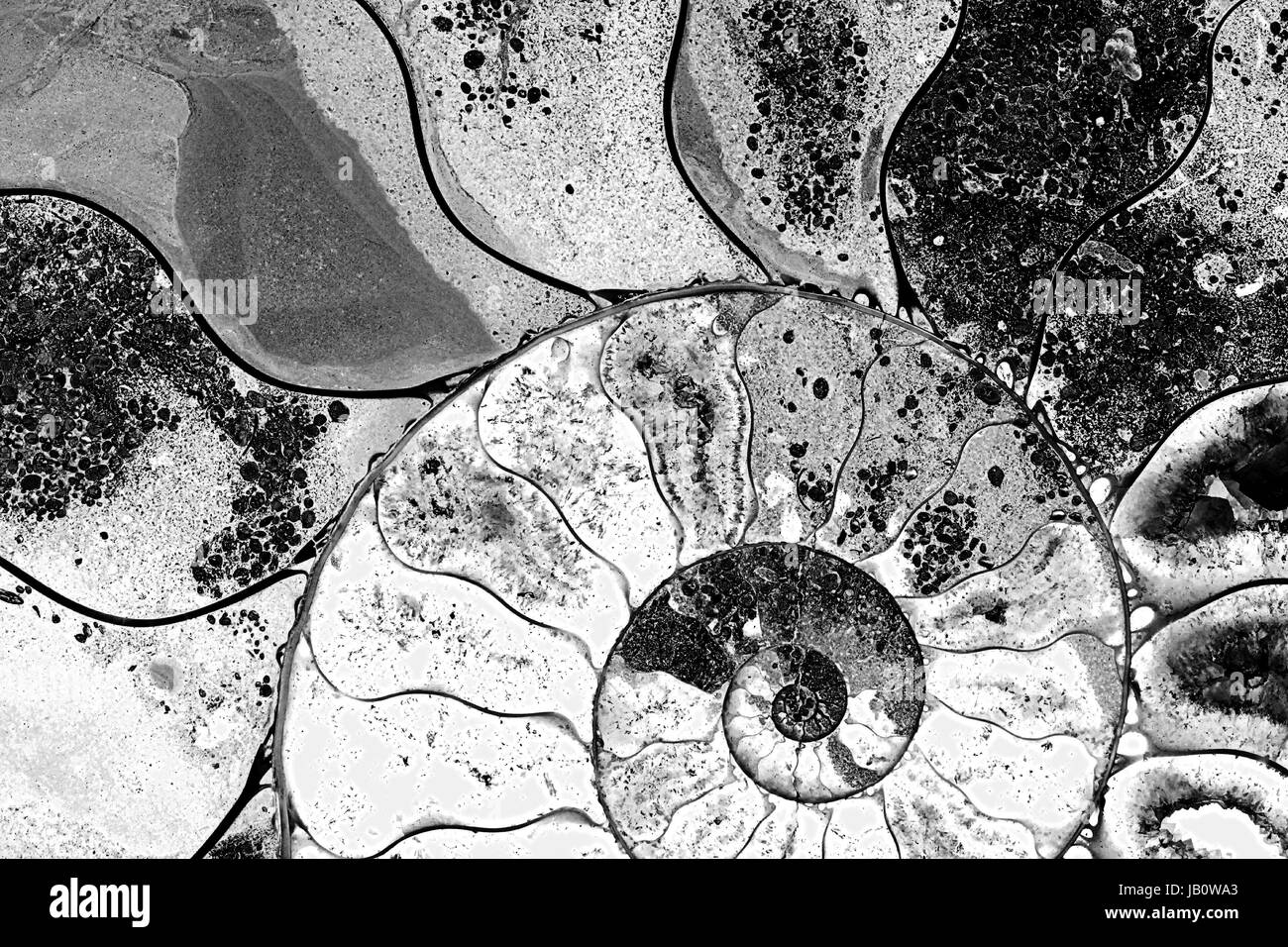 Inner chambers Black and White Stock Photos & Images - Alamy