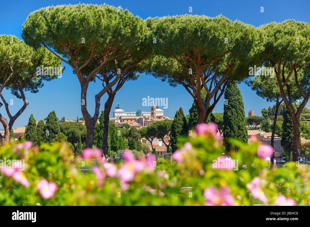 Rome Rose Garden, Italy Stock Photo - Alamy