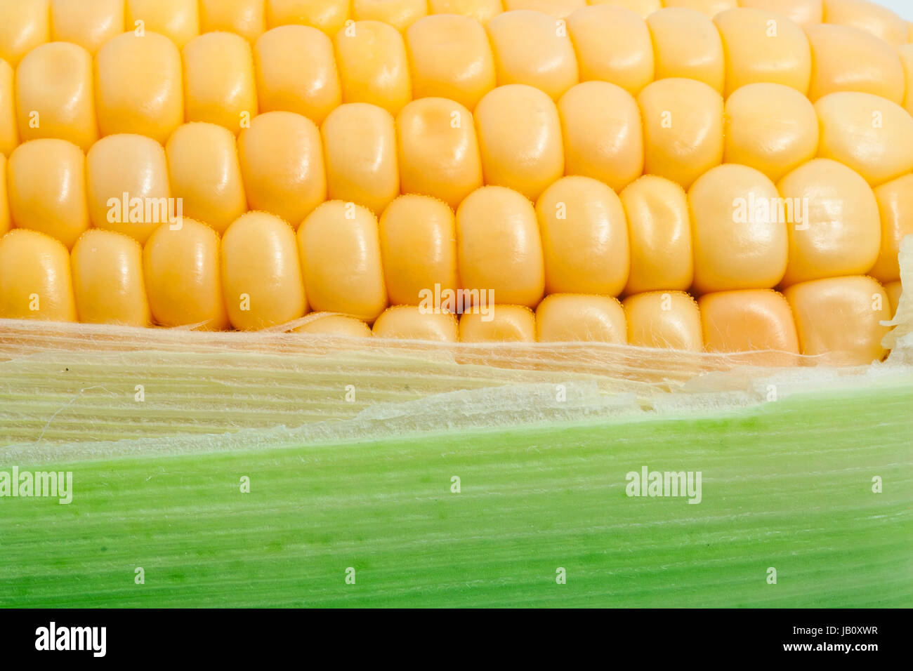 Collection of yellow corn backgrounds, healthy and tasty food Stock Photo - Alamy