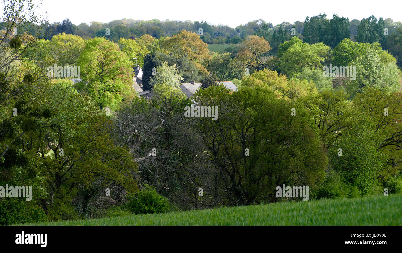Landscape of the countryside in spring, wooded place, houses in a green ...