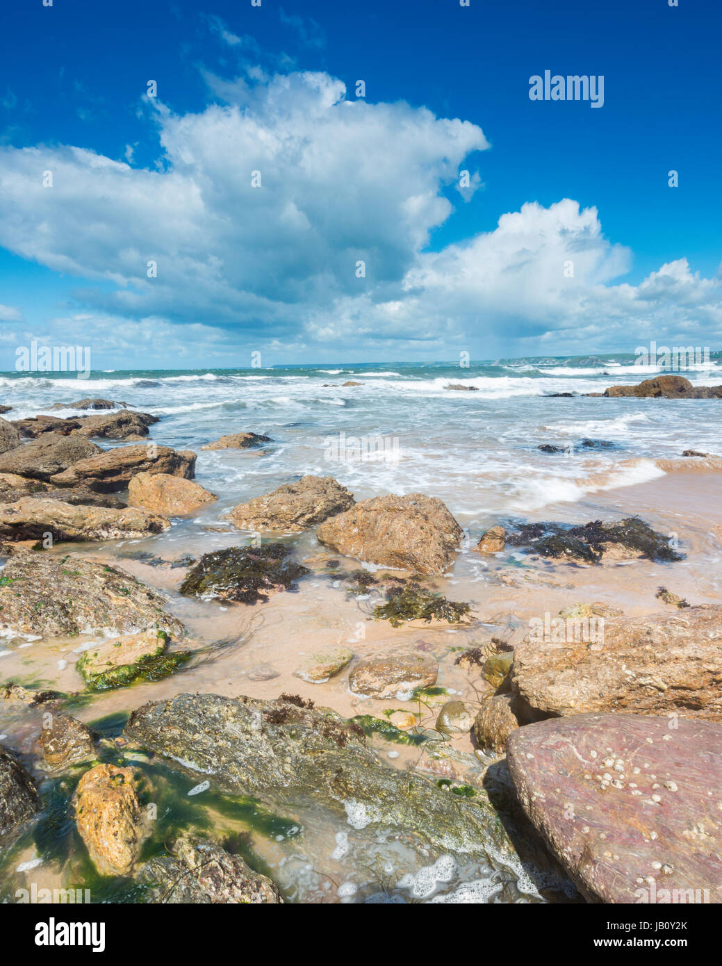 Windy devon shoreline hi-res stock photography and images - Alamy