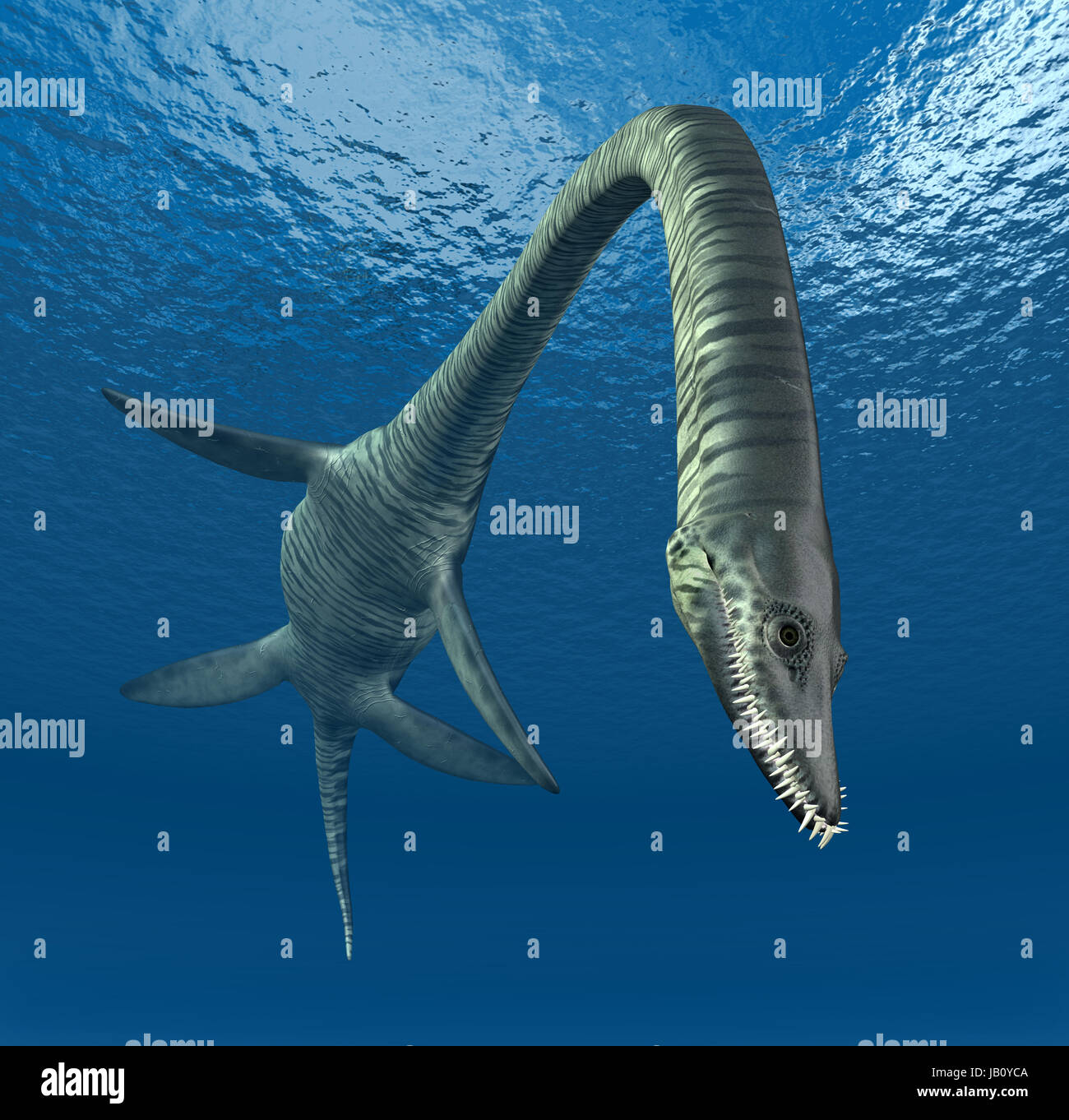 plesiosaur elasmosaurus Stock Photo - Alamy