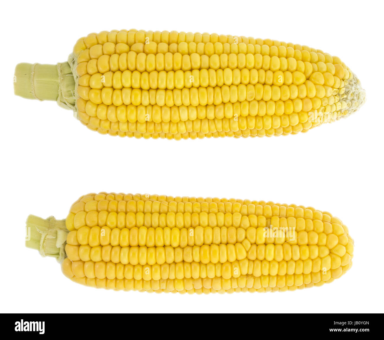 ear of corn isolated on a white background (with clipping work path ...
