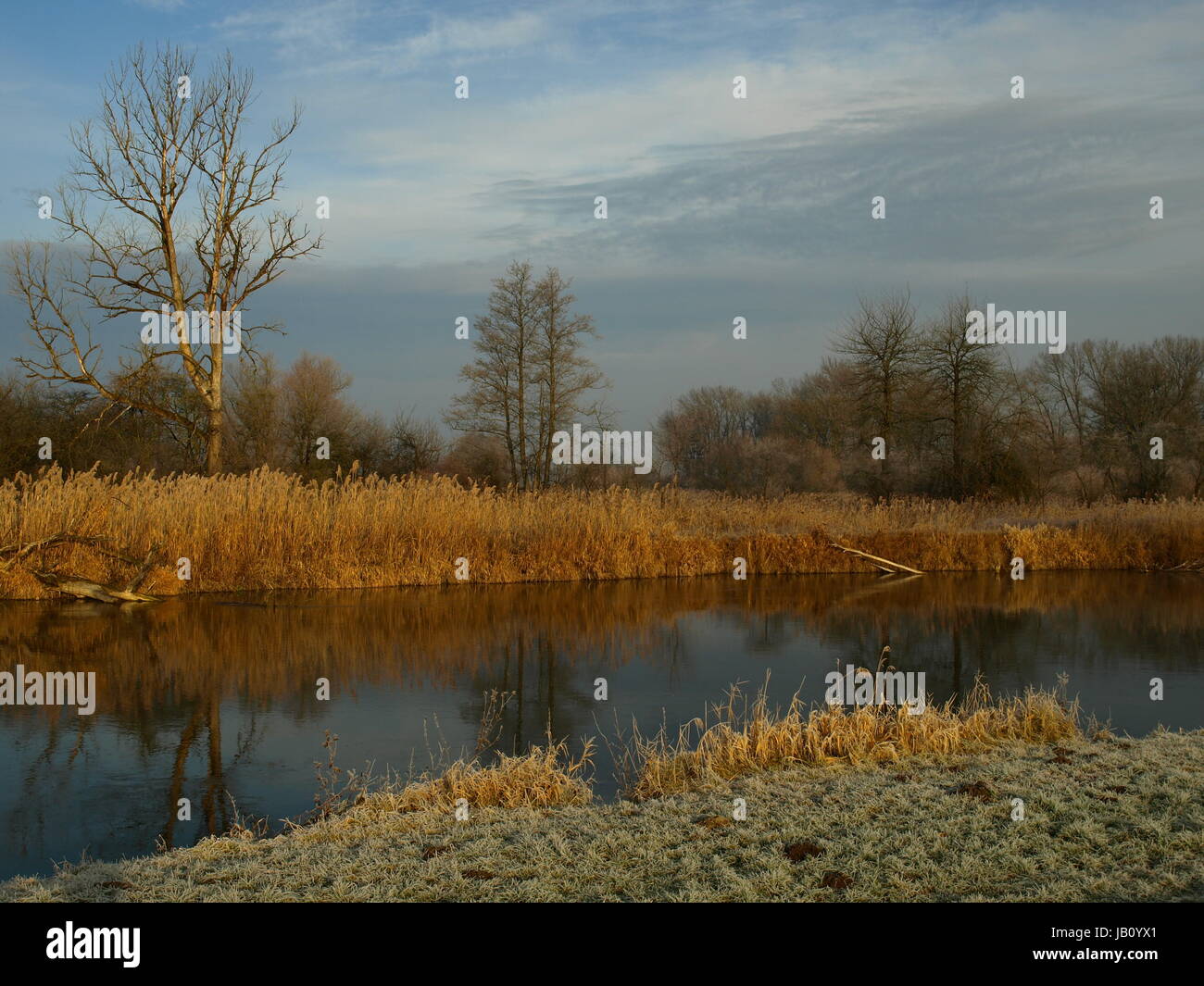 in golden morning light Stock Photo - Alamy