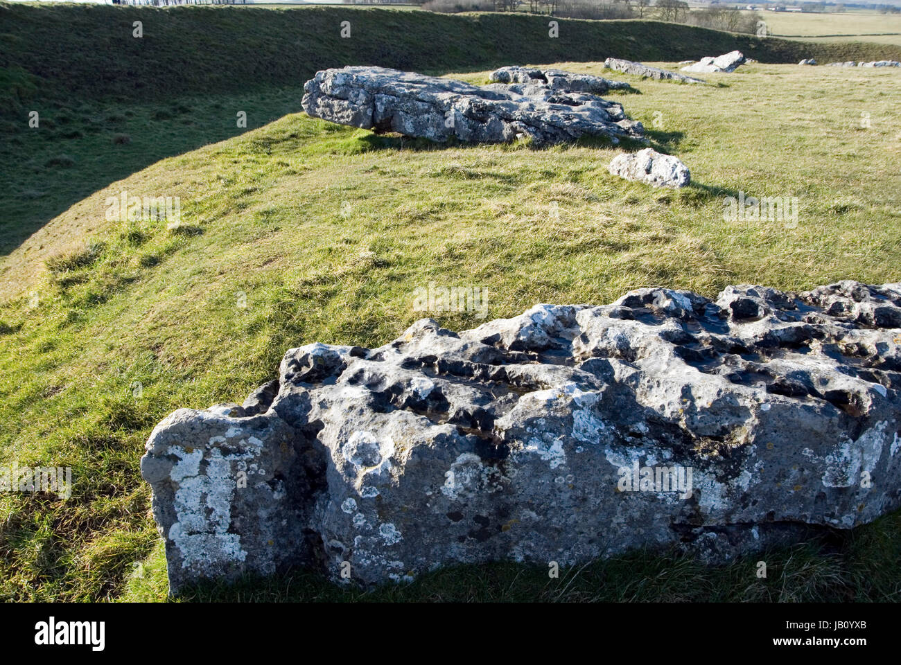 Lichens on the stones hi-res stock photography and images - Alamy