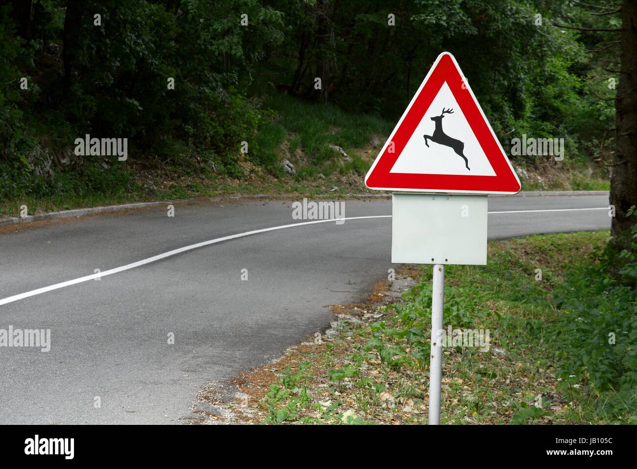 Traffic sign warns about animals by the road Stock Photo - Alamy