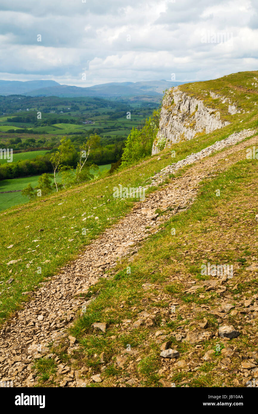 Scout scar hi-res stock photography and images - Alamy