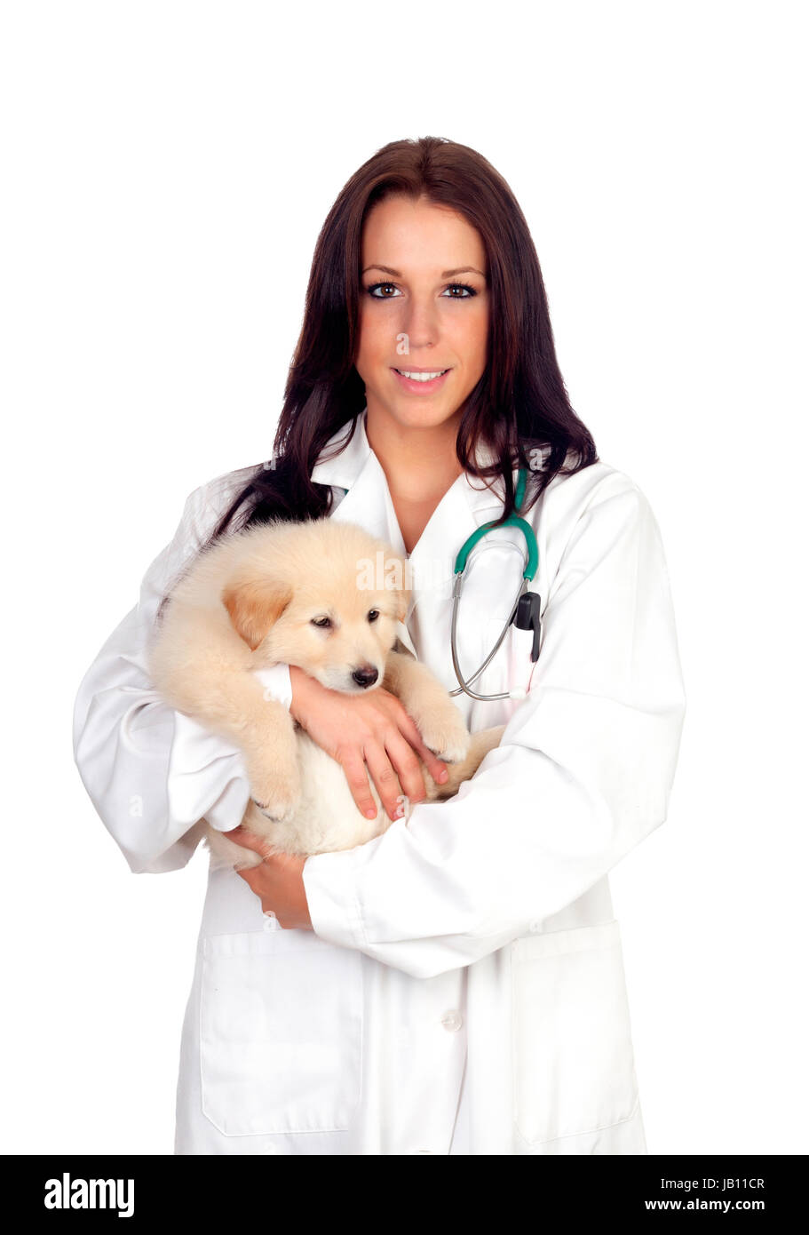 Pretty vet with a cute puppy isolated on white background Stock Photo ...