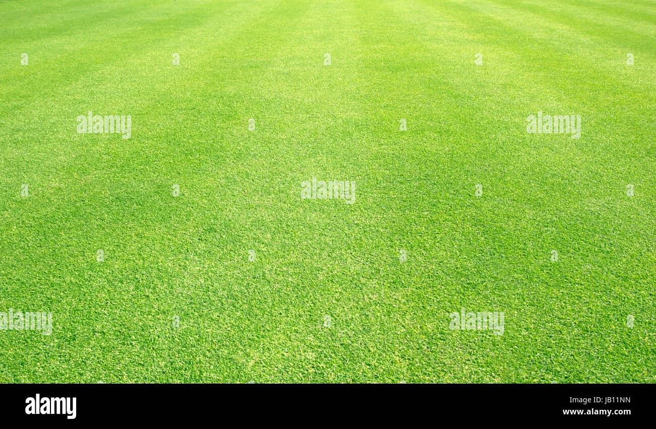 grass background Golf Courses green lawn pattern textured background ...