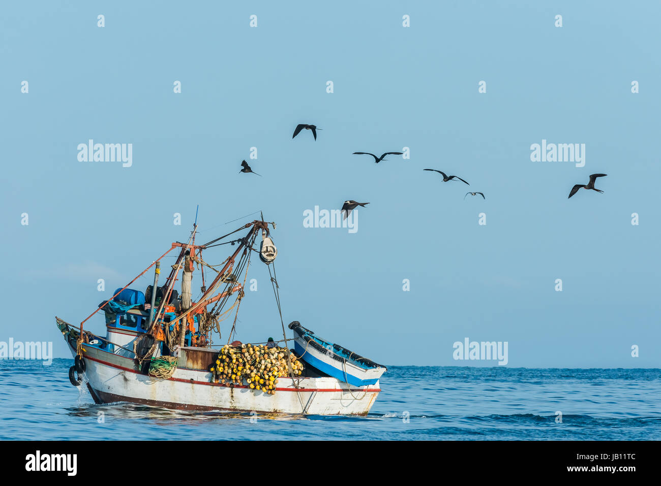 flock of birds and fishing boat in the peruvian coast at Piura Peru ...